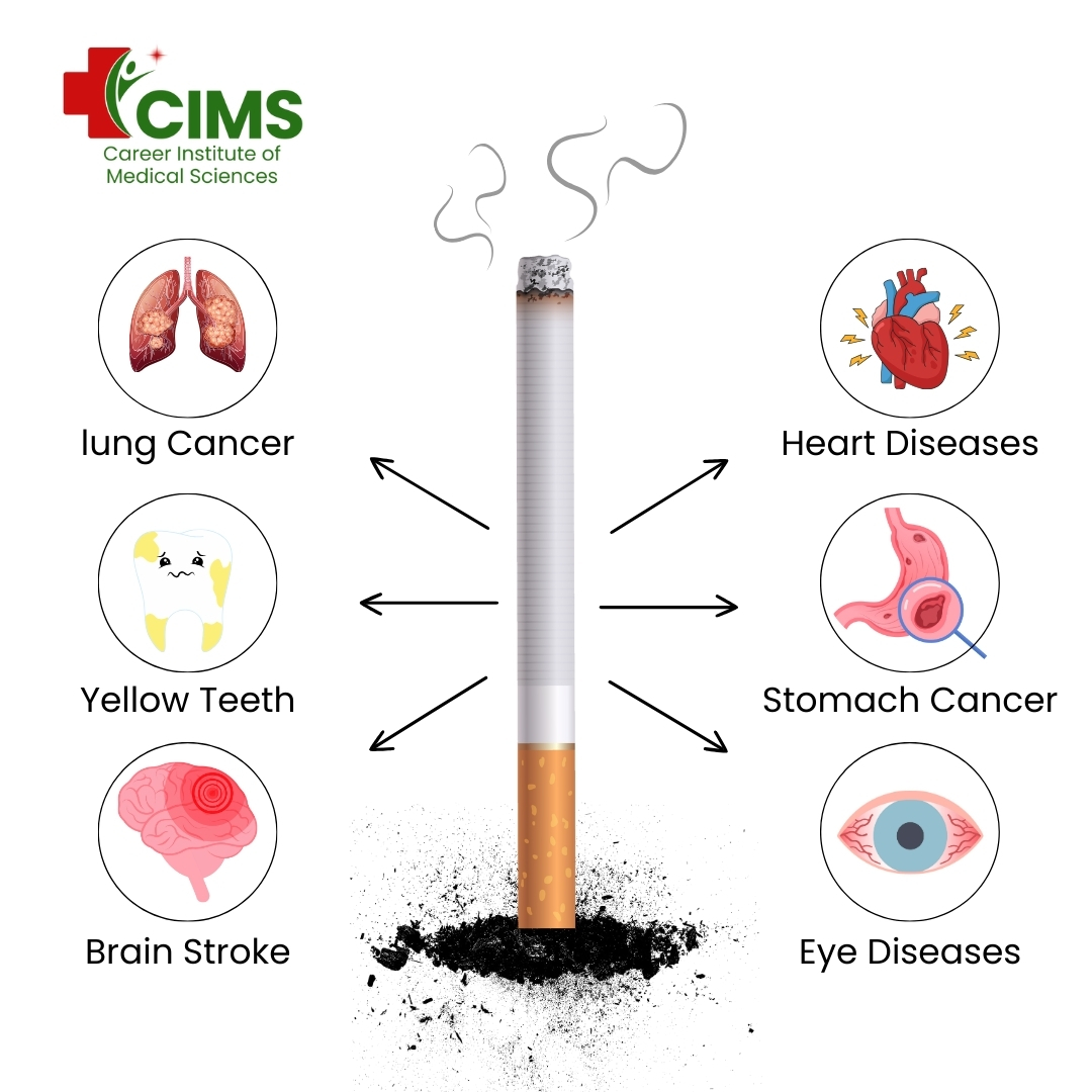 Tobacco/Tambaku: The Single Largest Cause of Cancer in India
