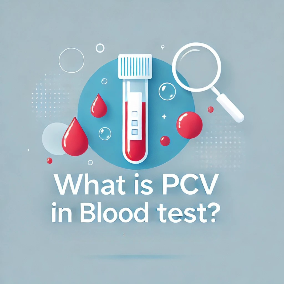 What is PCV in Blood Test? A Complete Guide